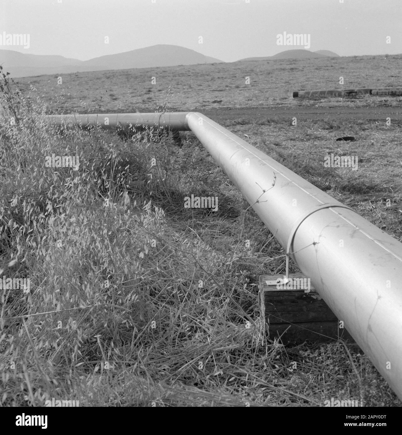 Israel: Huleh Water pipes of an irrigation plant Date: undated Location ...