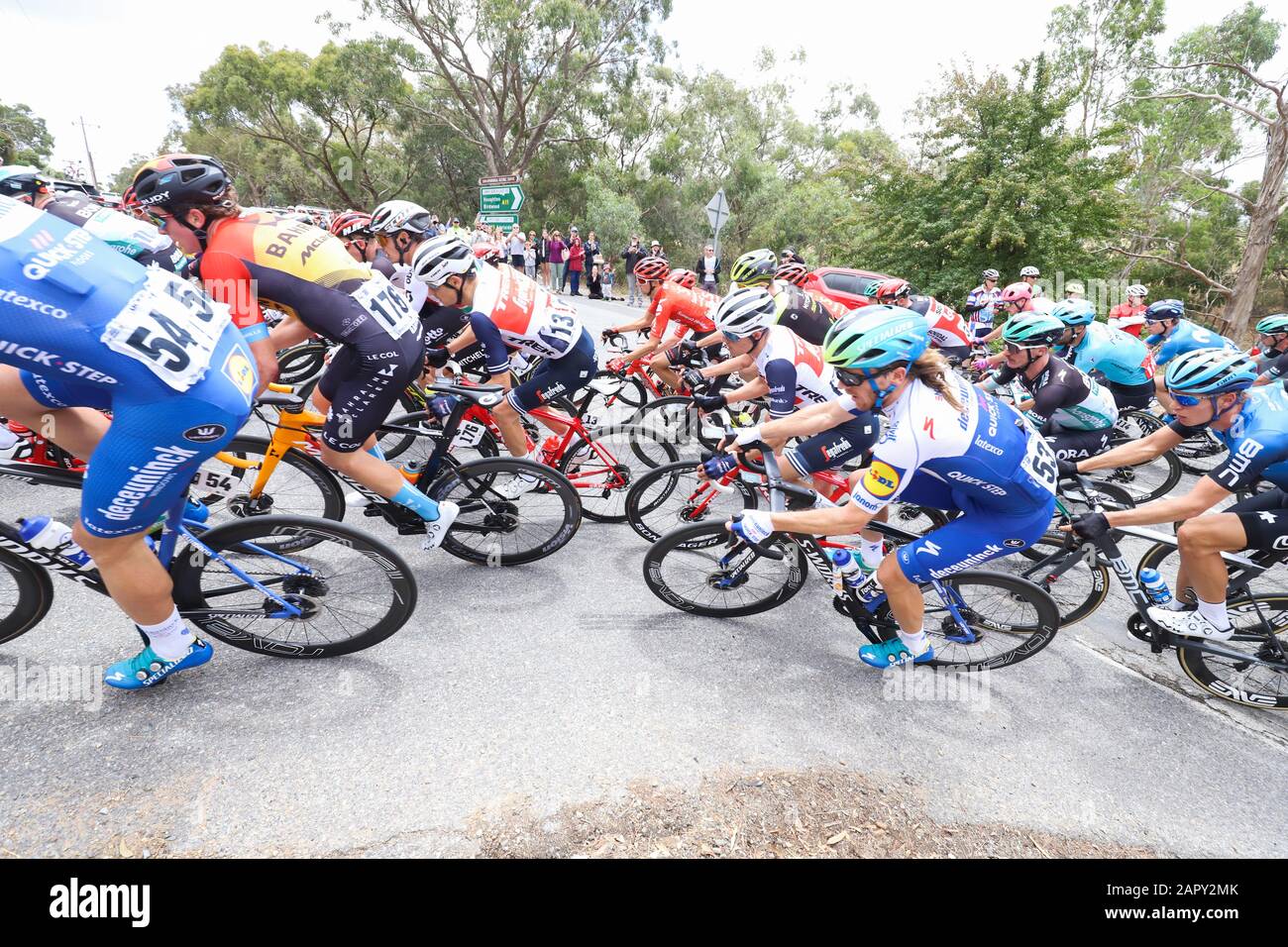 Riders competing on Stage 3 of the 2020 Tour Down Under cycling race ...