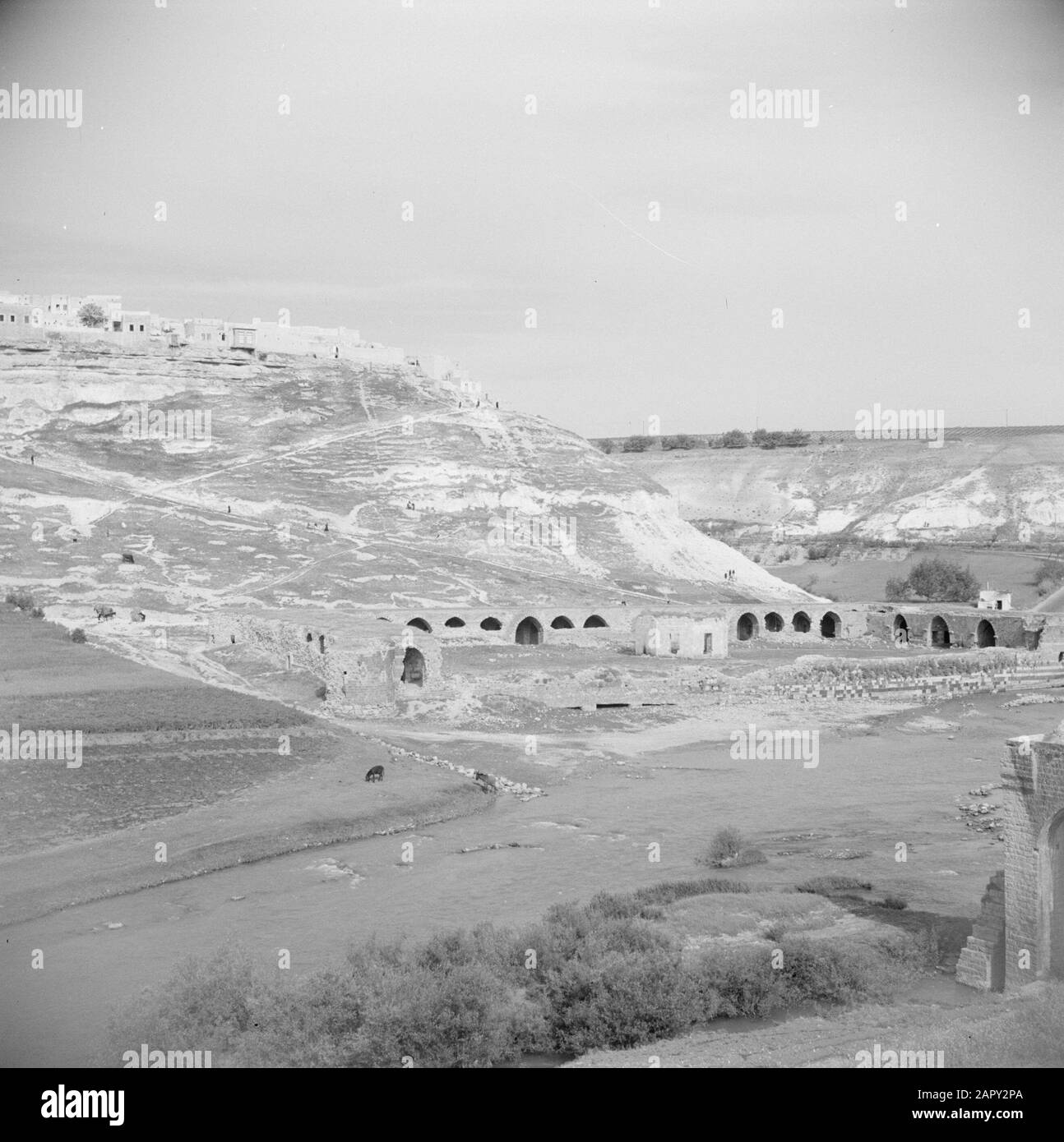 Al rastan hi-res stock photography and images - Alamy