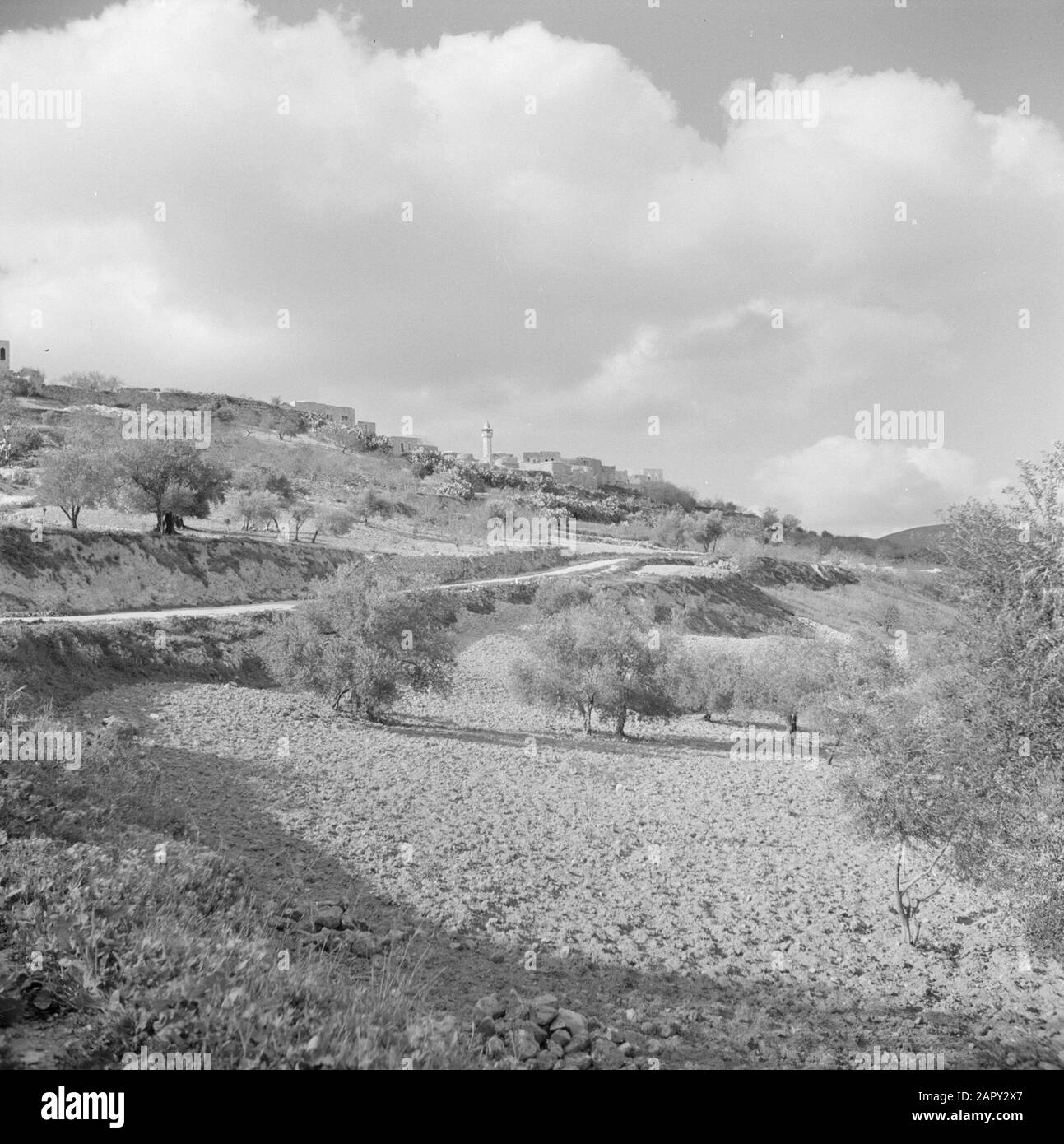 Middle East 1950-1955: Jordan View of the hilly landscape of Samaria ...