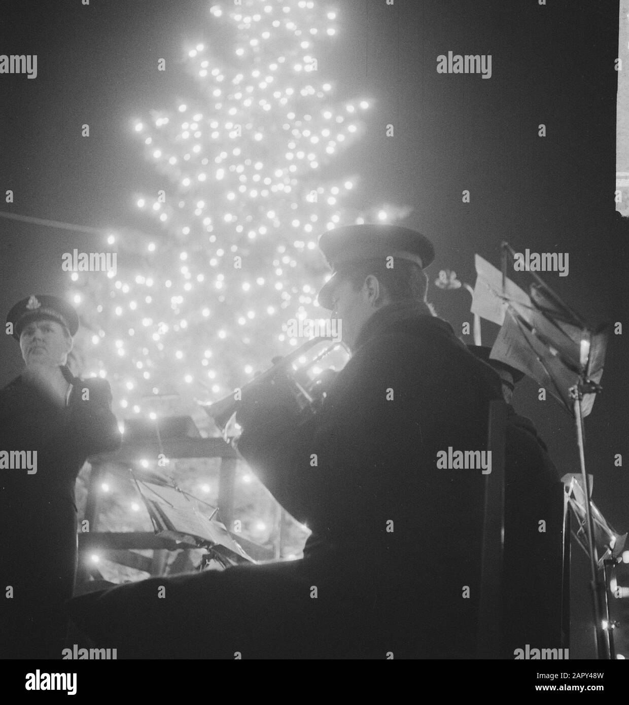 December christmas tree pine Black and White Stock Photos & Images - Alamy