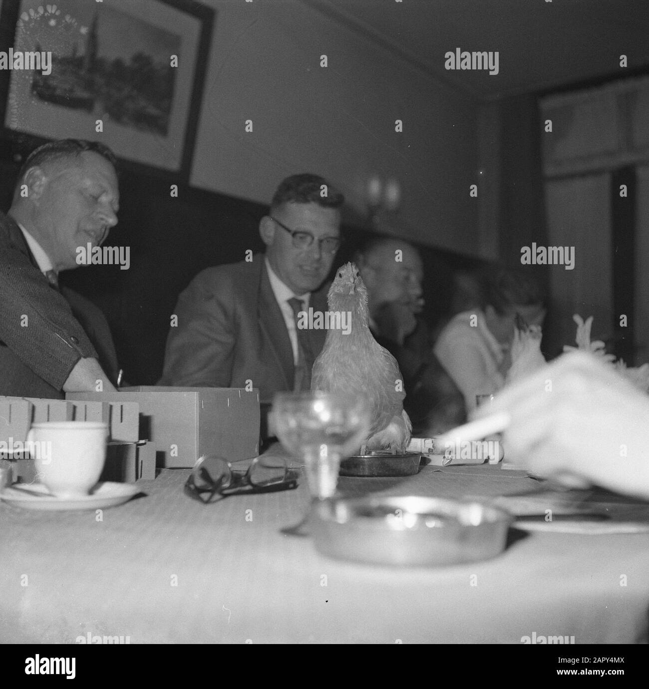 Ornis exhibition hi-res stock photography and images - Alamy