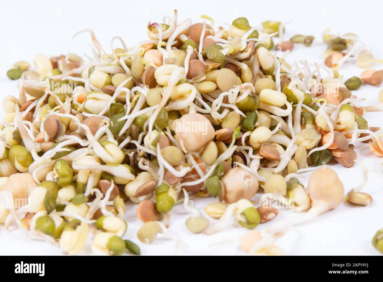 Nutritious different sprouts as source natural vitamins and minerals ...