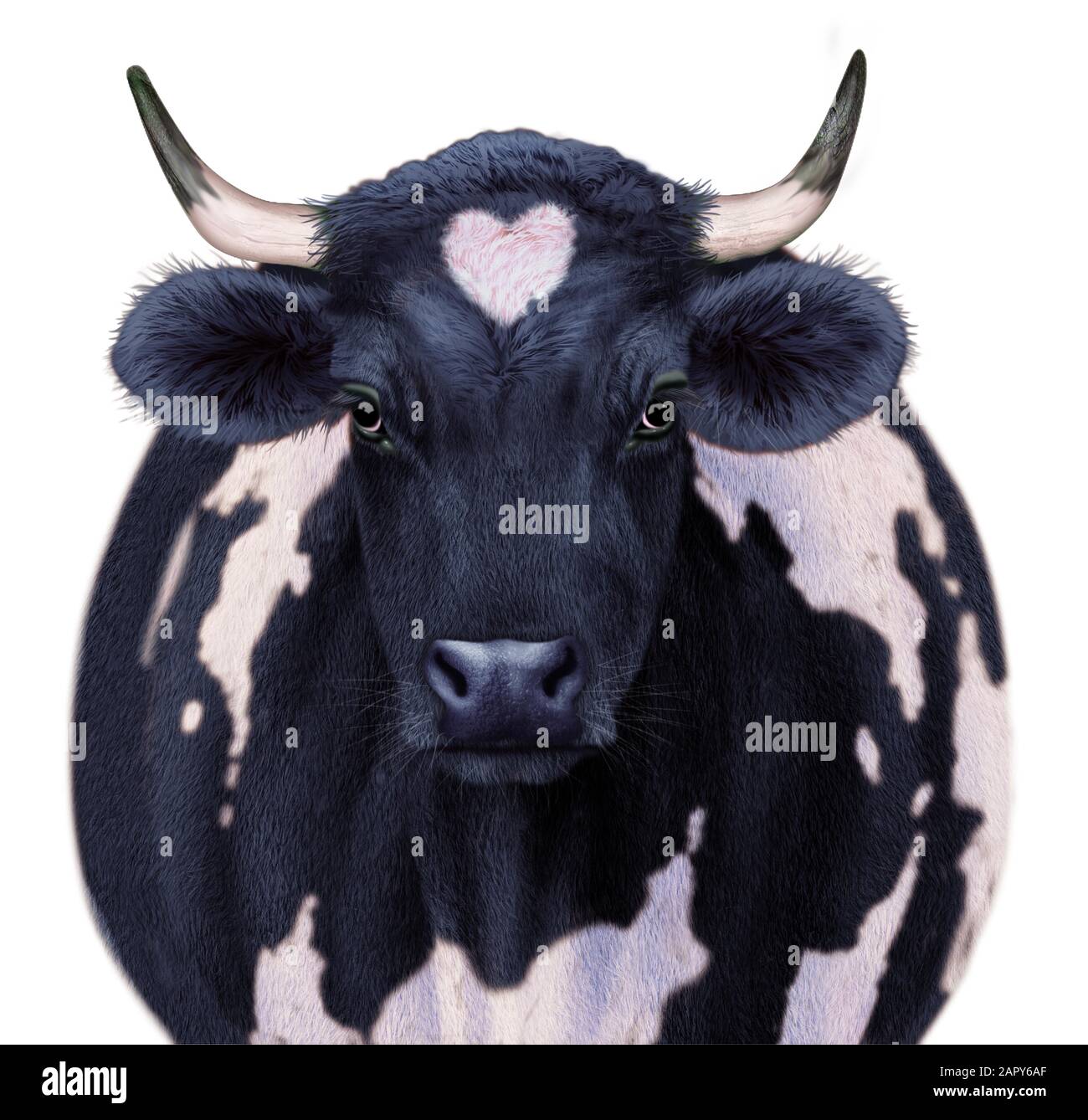 Illustration cow face realistic Stock Photo - Alamy