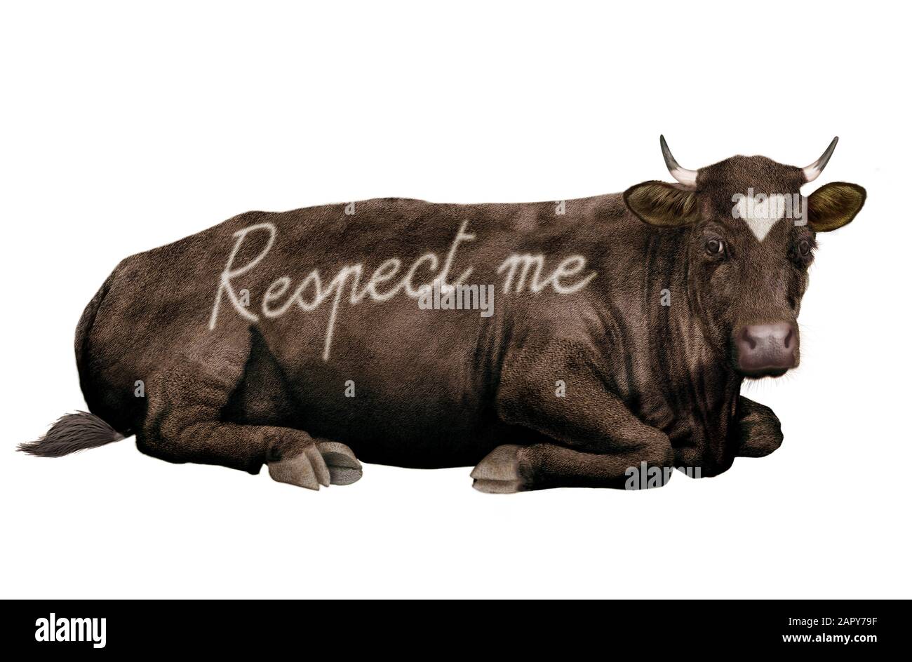 Cow illustration realistic design Stock Photo - Alamy