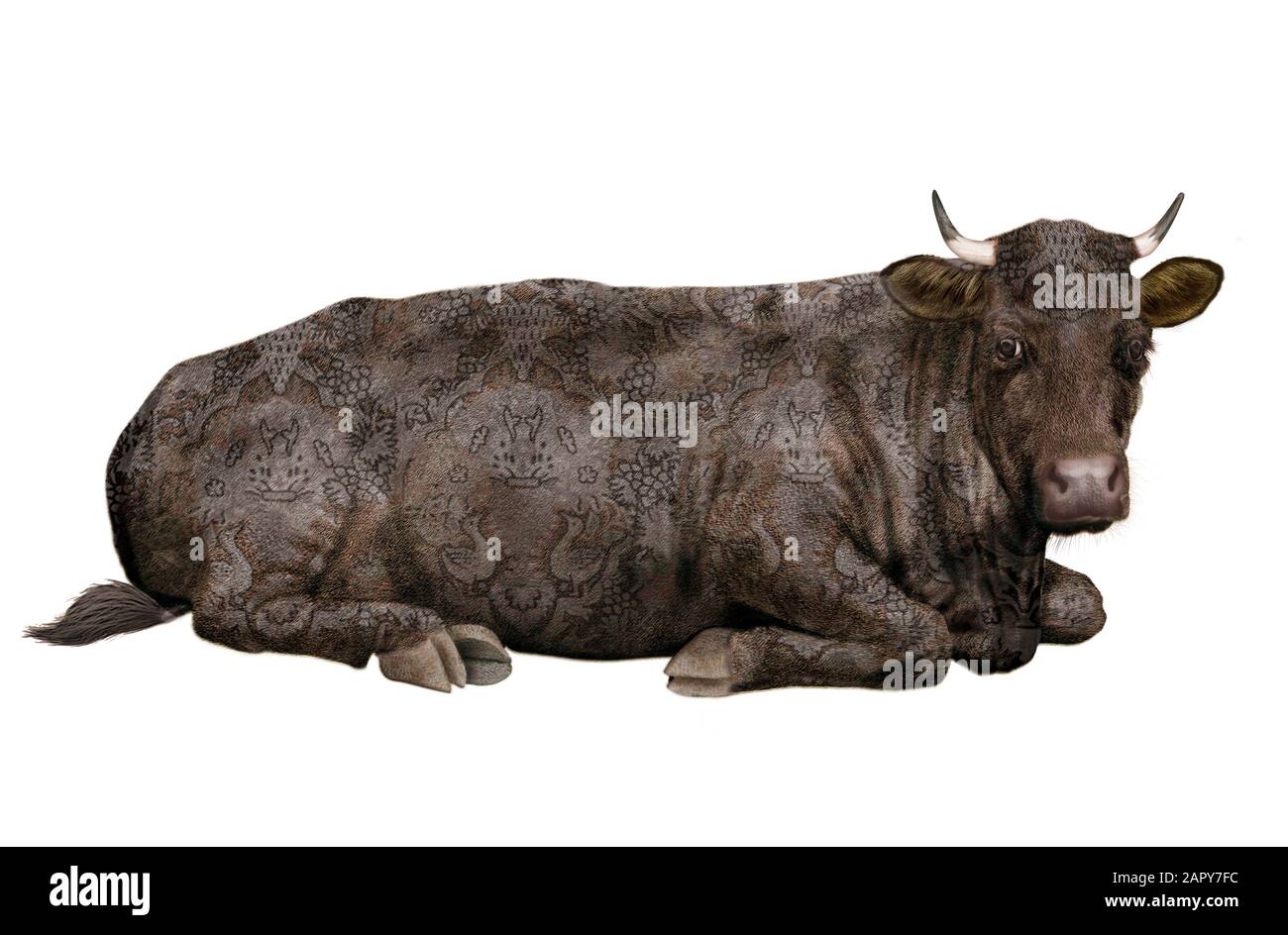 Cow illustration realistic design Stock Photo - Alamy