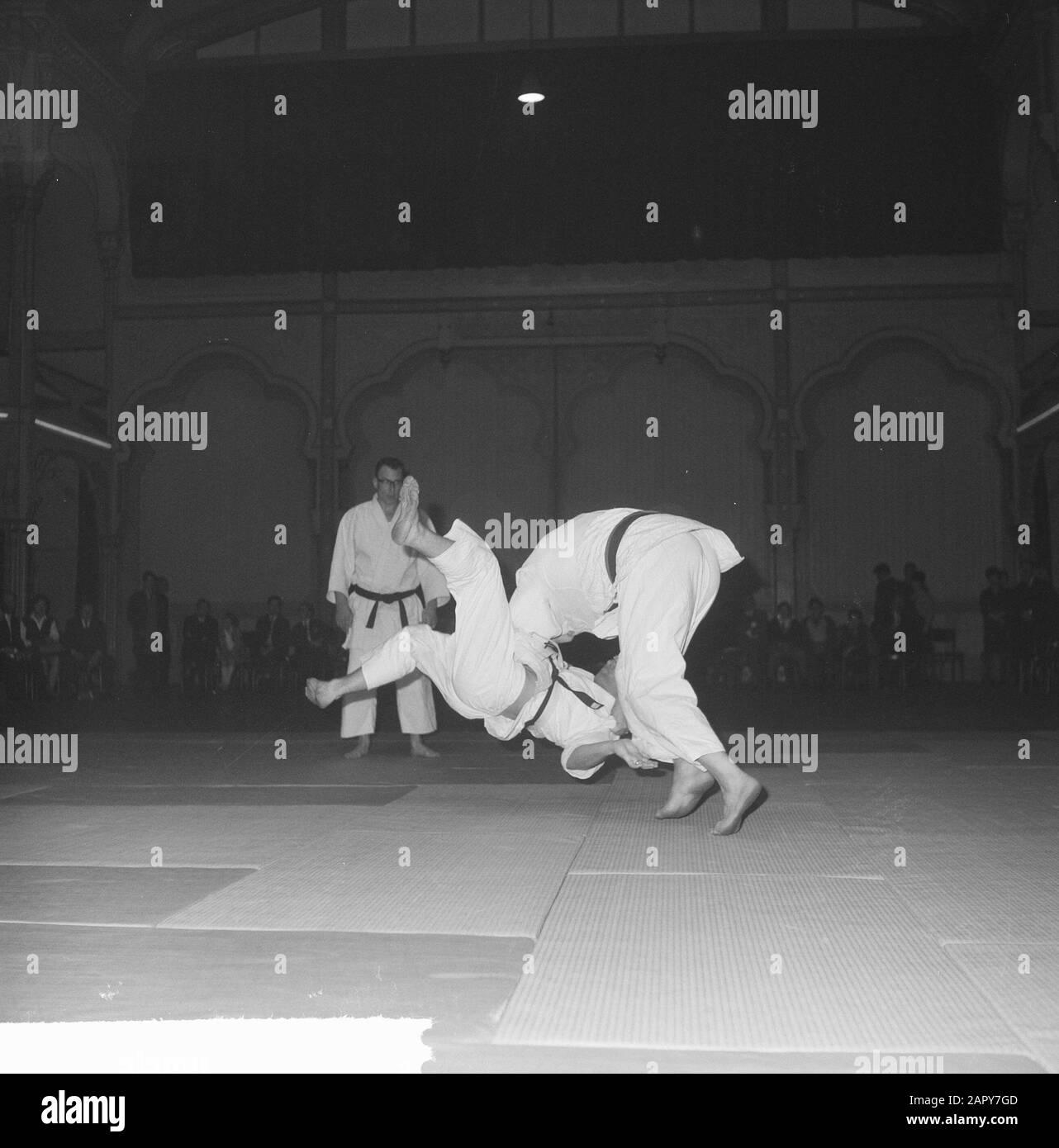 Judo championships hi-res stock photography and images - Alamy