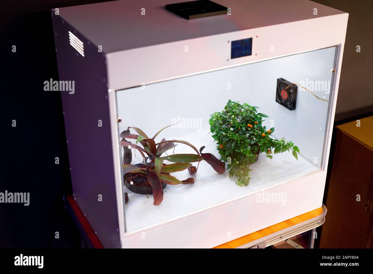 Camera for growing plants where optimal temperature is regularly ...