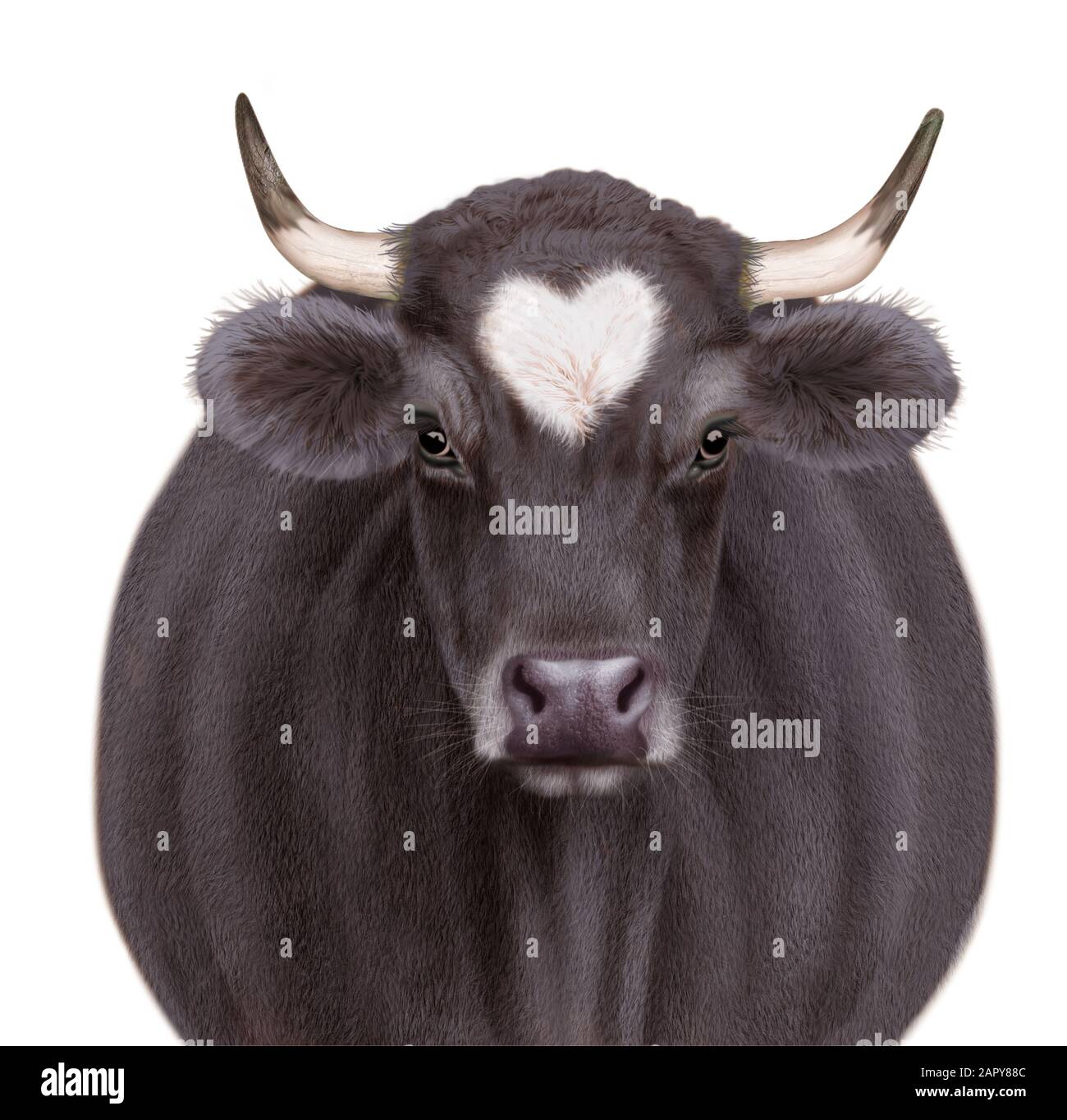 Illustration cow face realistic Stock Photo - Alamy