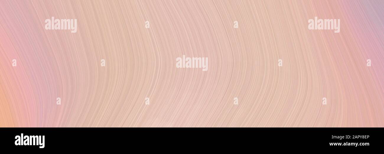 modern banner design with baby pink, peach puff and pastel purple ...