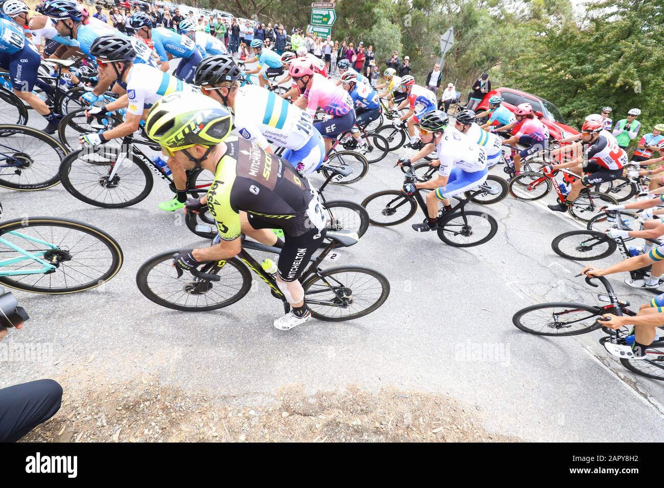Riders competing on Stage 3 of the 2020 Tour Down Under cycling race ...