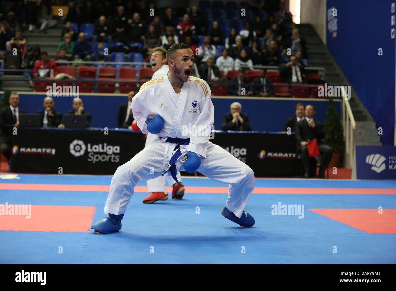 Paris, France . 24th Jan, 2020. Steven Da Costa for France against ...