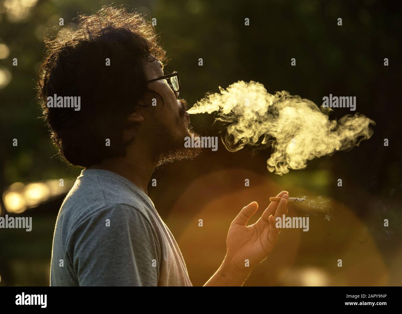 Handsome weed hi-res stock photography and images - Alamy