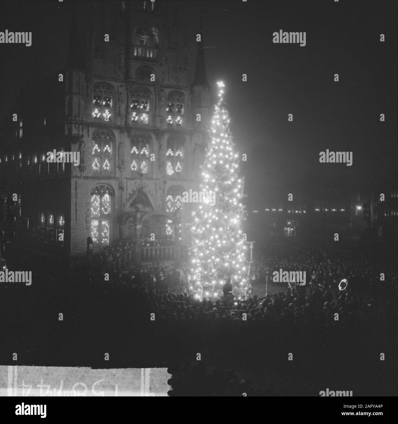 Norwegian Christmas tree for Gouda offered by ambassador at the Market ...