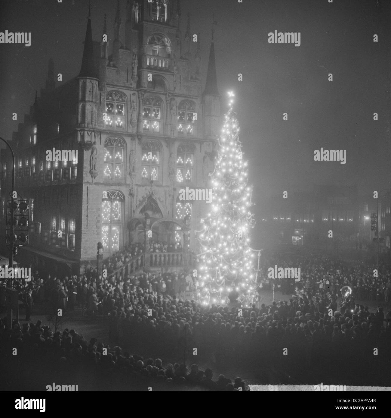 Norwegian Christmas tree for Gouda offered by ambassador at the Market ...