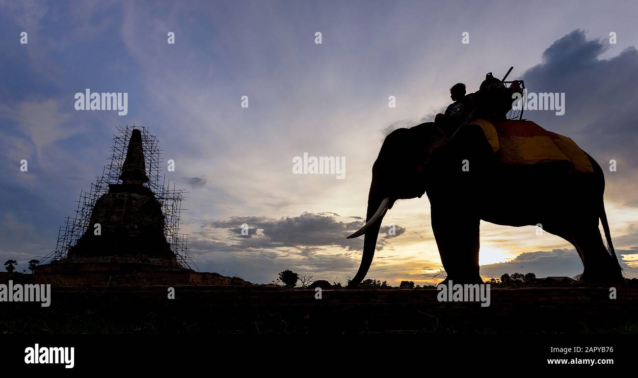 Sunset Thai countryside in Thailand Stock Photo - Alamy