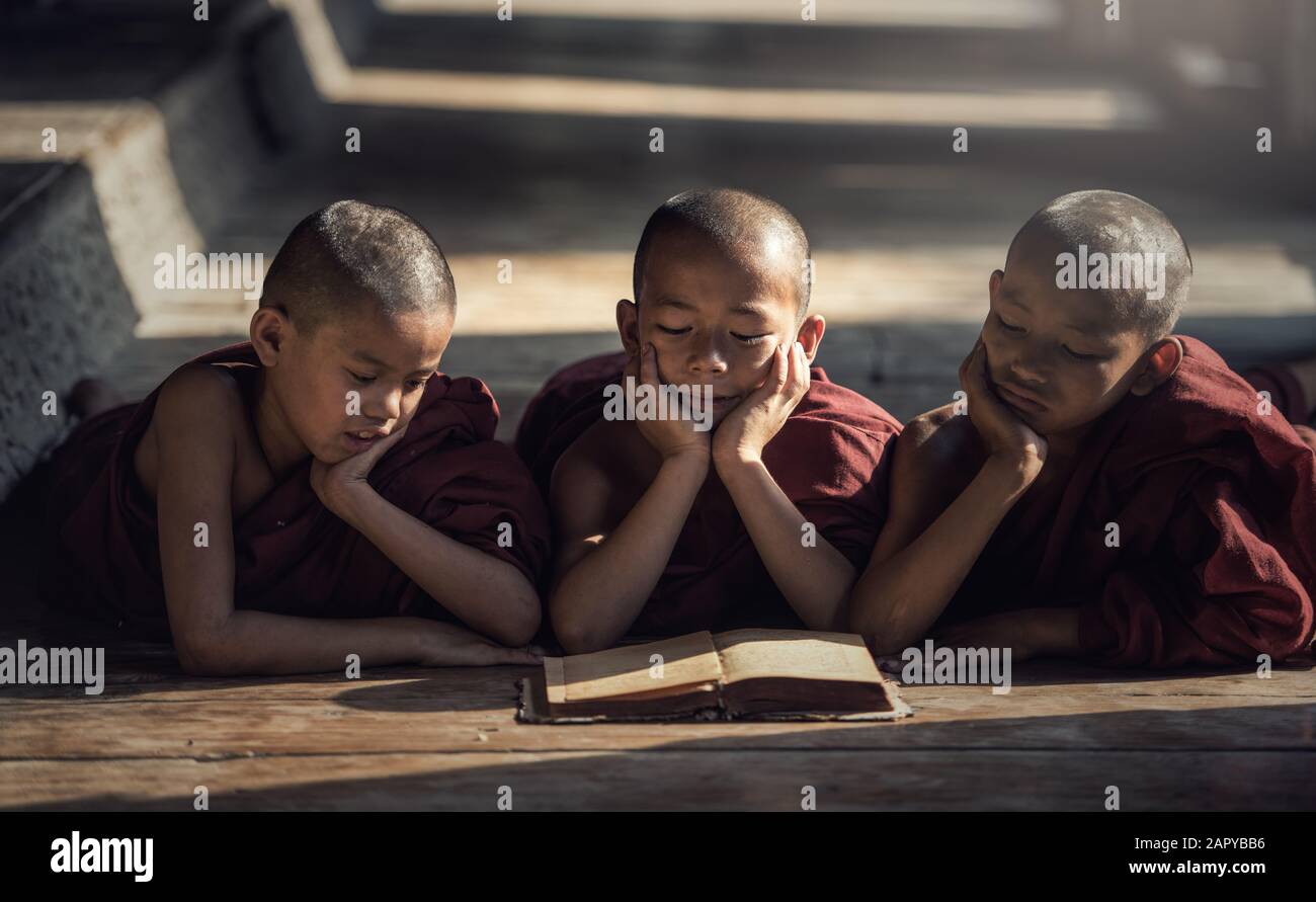 Novice monk reading book,in monastery, Bagan, Myanmar Stock Photo - Alamy
