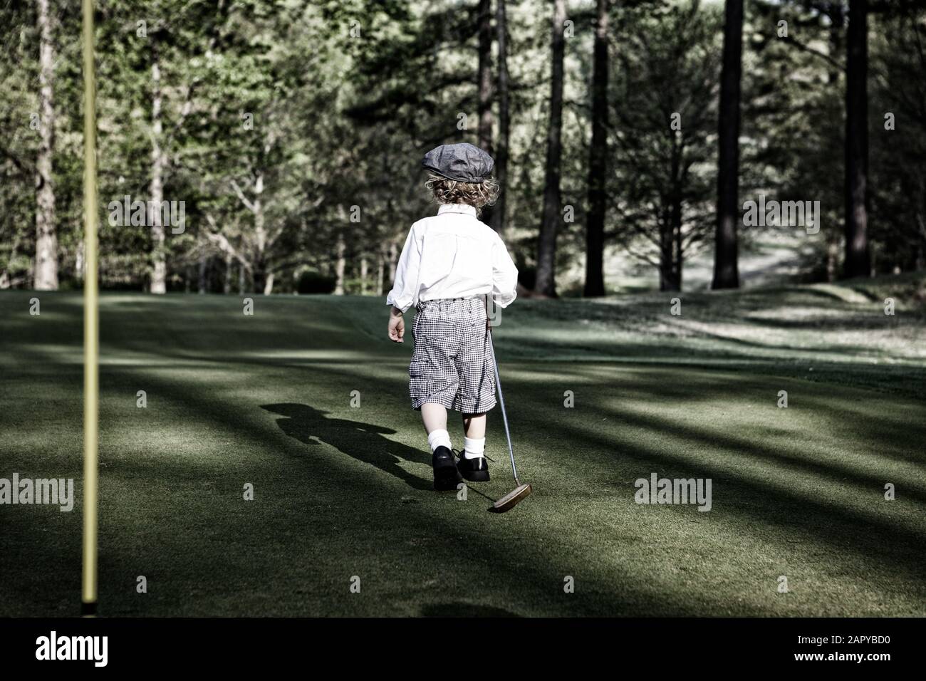 Little boy golfing in a field surrounded by greenery under the sunlight ...