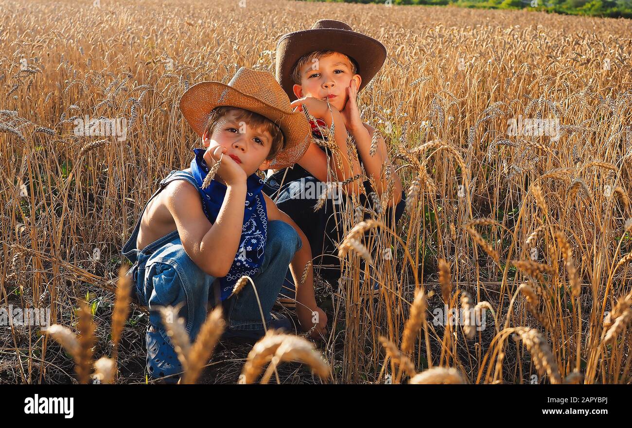 Little adorable cowboys sitting in a field of wheat during daytime ...