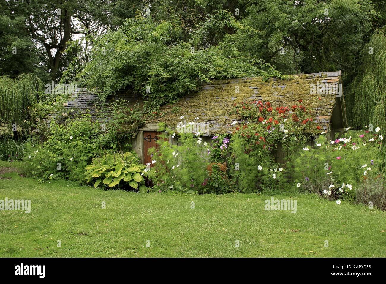 Wooden house in a grassy field surrounded by plants and flowers Stock ...
