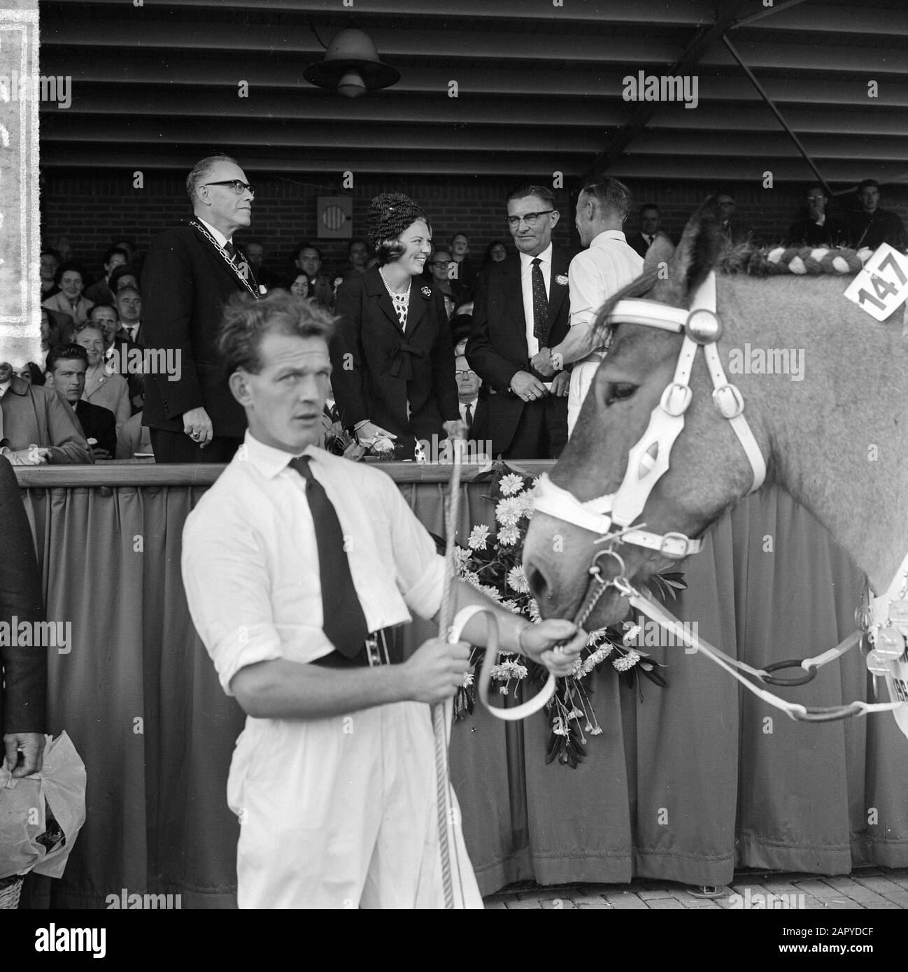 Princess Beatrix visited exhibition of the Dutch Drawhorse in Den Bosch ...