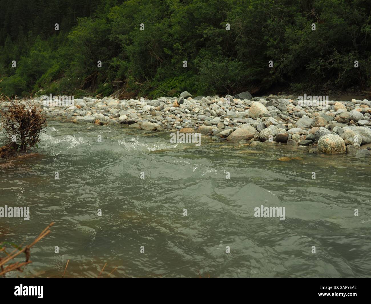 Closeup shot of stream water with big rocks, green trees in the ...