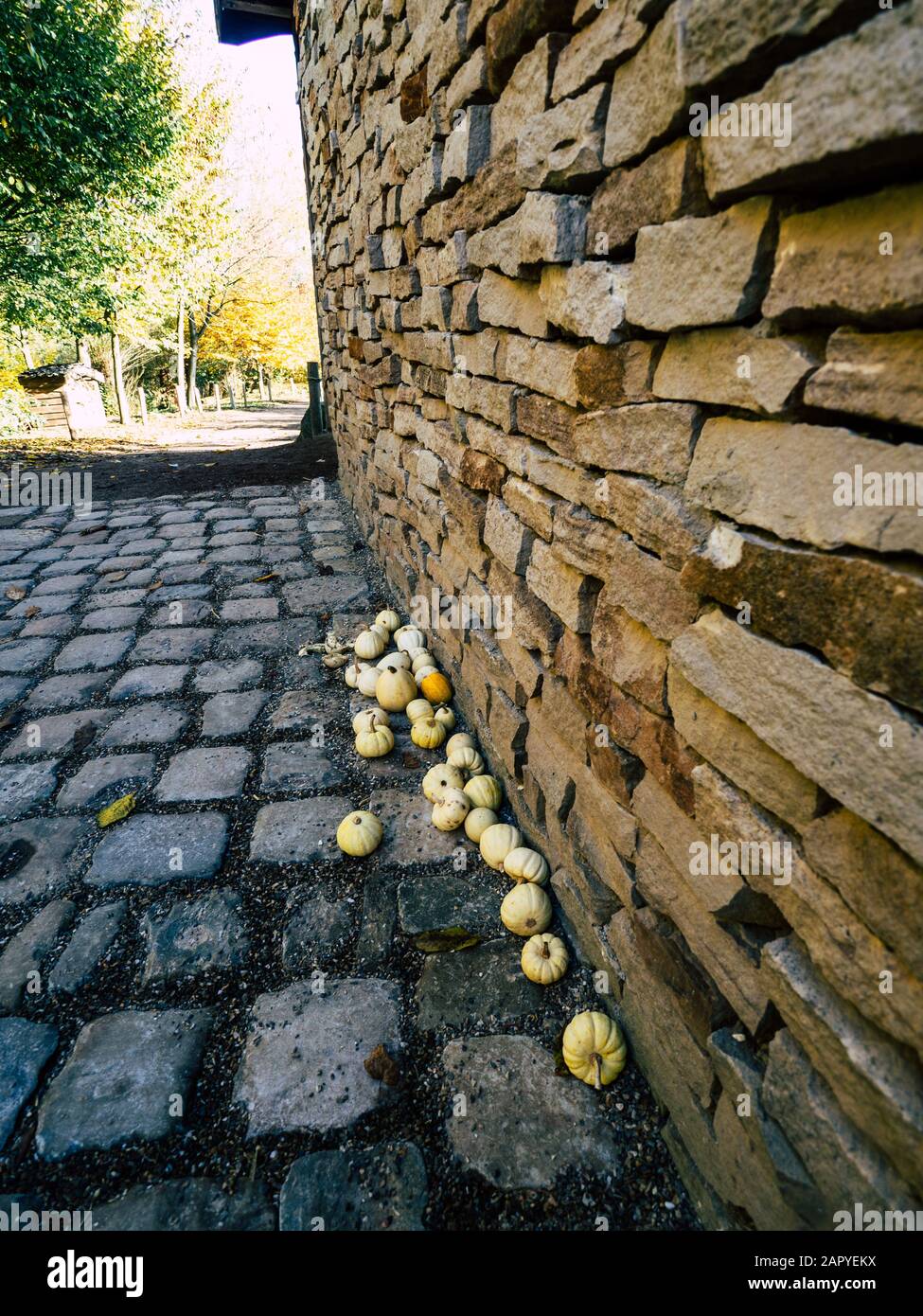 Cream colored brick hi-res stock photography and images - Alamy