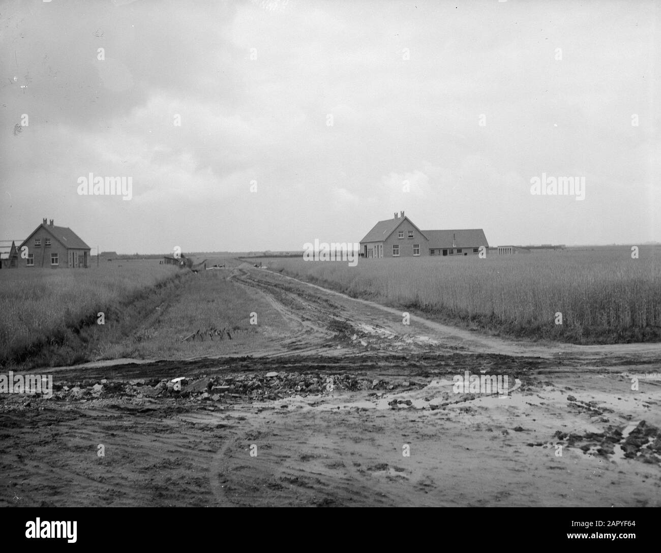 Stichting Peelontginning Date: undated Location: Oploo Keywords: farms ...