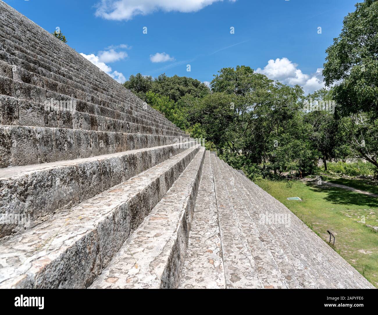 Set of steps going up in front of many trees and grass under a blue sky ...