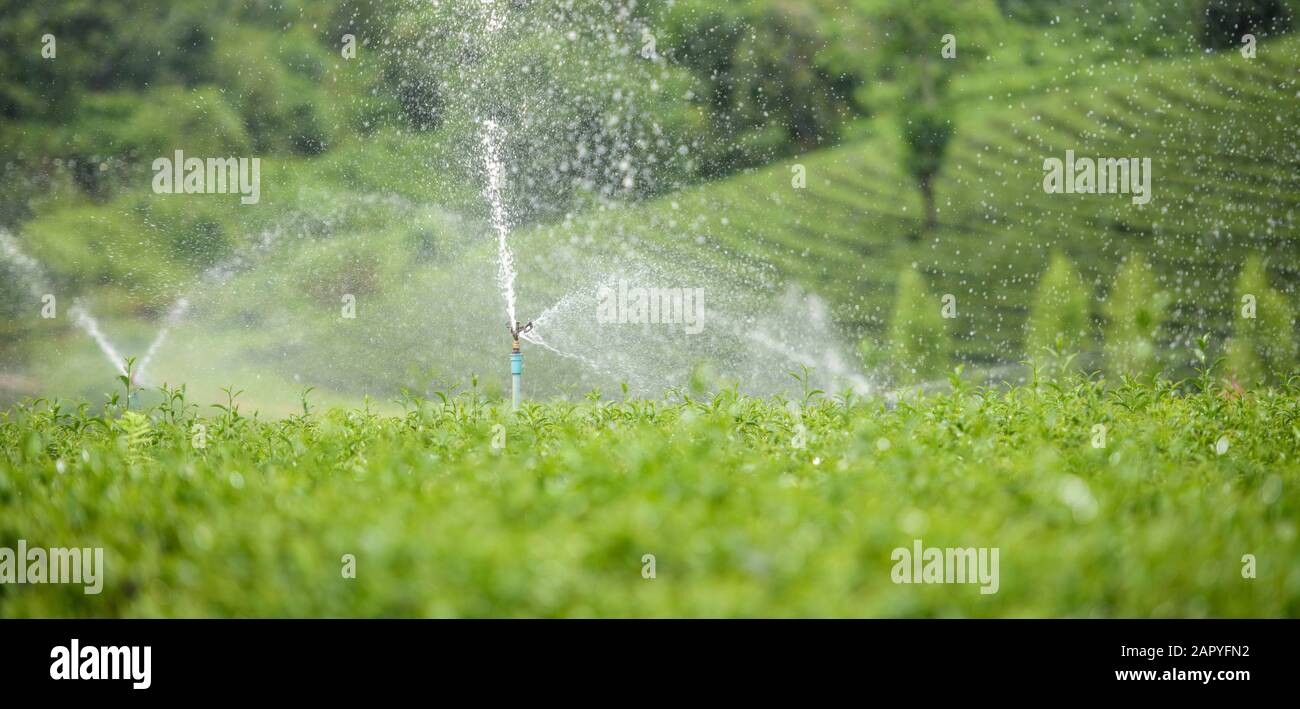 Sprinkler system in a farm field Stock Photo - Alamy