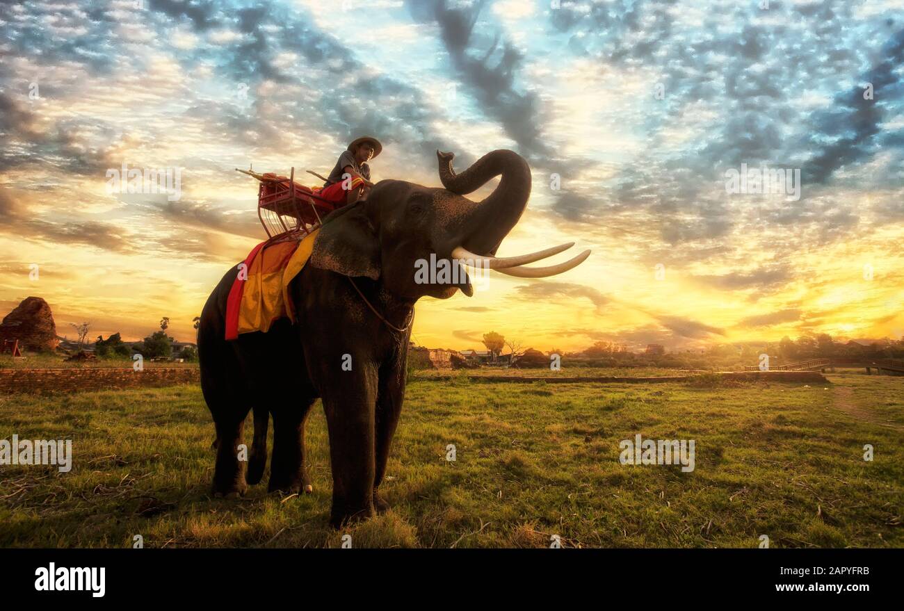 Sunset Thai countryside in Thailand Stock Photo - Alamy