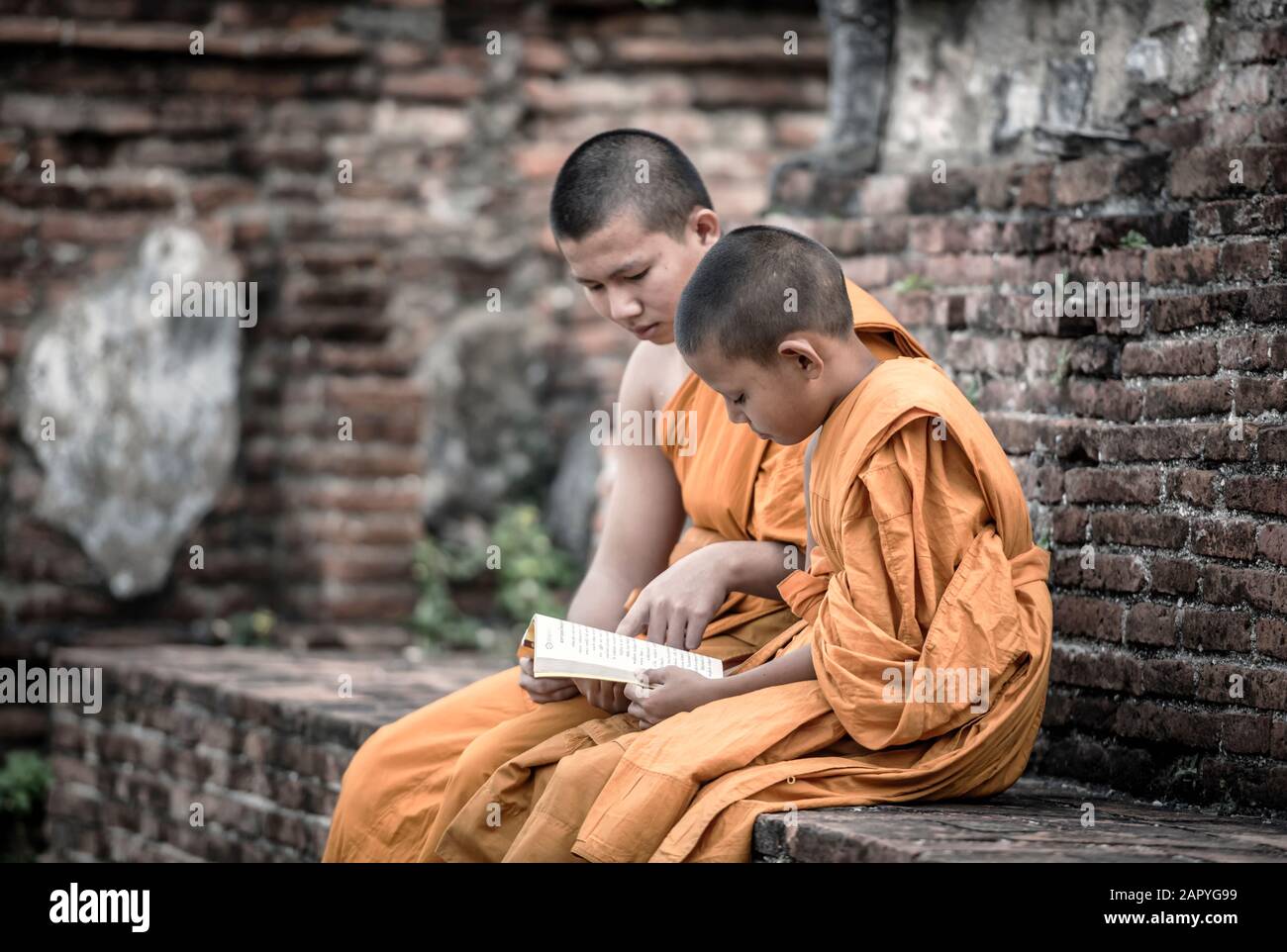 Teach young novice monks Stock Photo - Alamy