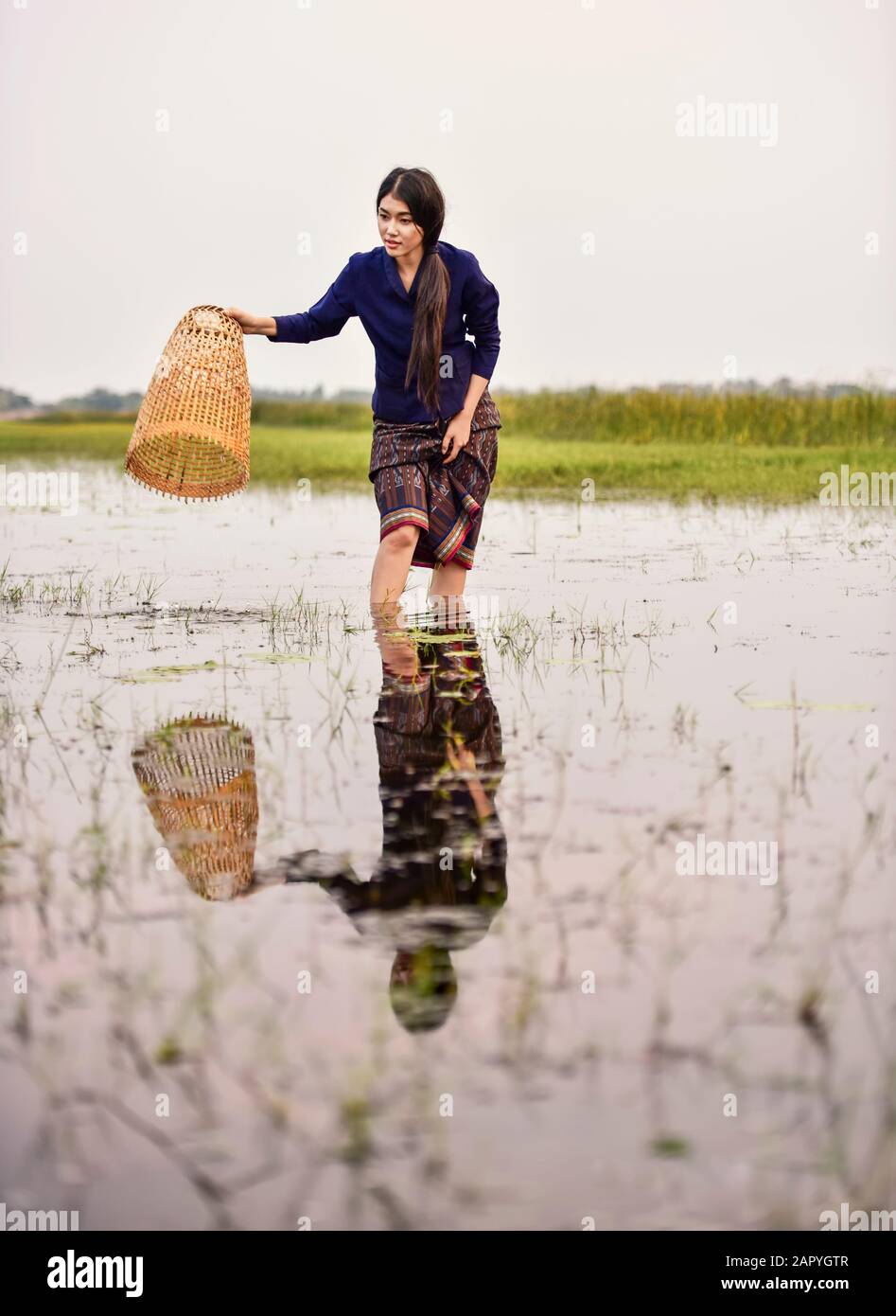 Working woman in countryside,Thailand Stock Photo - Alamy