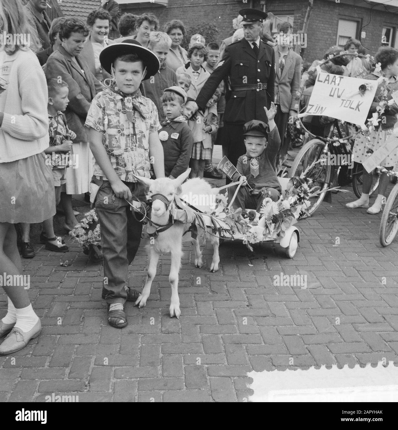 Goat in the summer Black and White Stock Photos & Images - Alamy