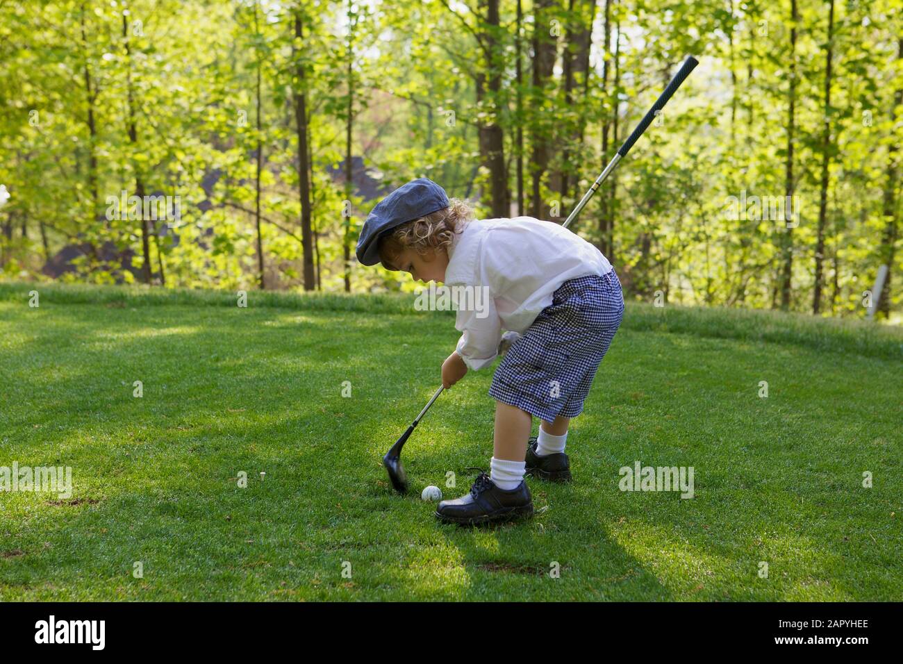 Little boy golfing in a field surrounded by trees under the sunlight ...