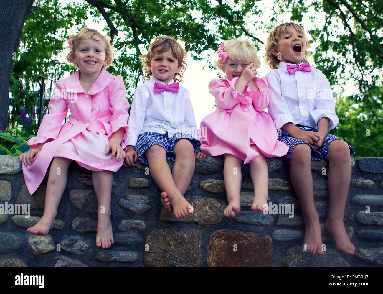 Group of kids sitting on a wall surrounded by greenery under the ...