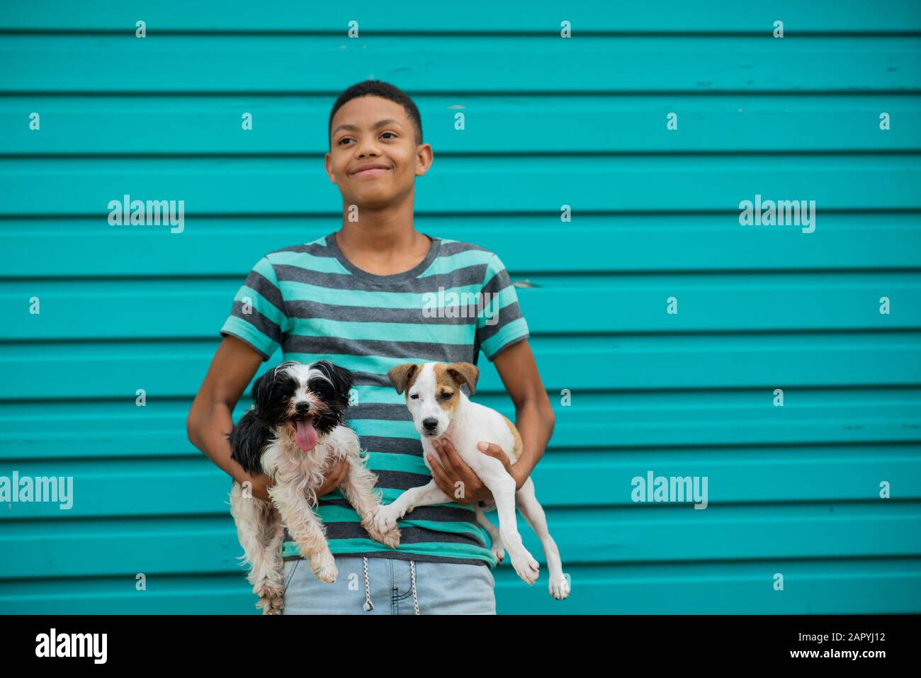 Boy smiling while holding two dogs in his arms against green background ...