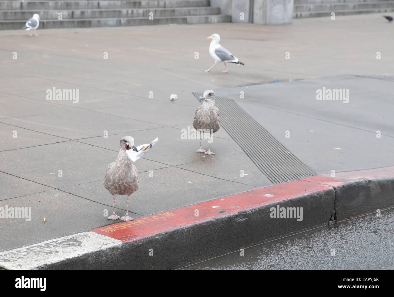 Litter on stairs hi-res stock photography and images - Alamy