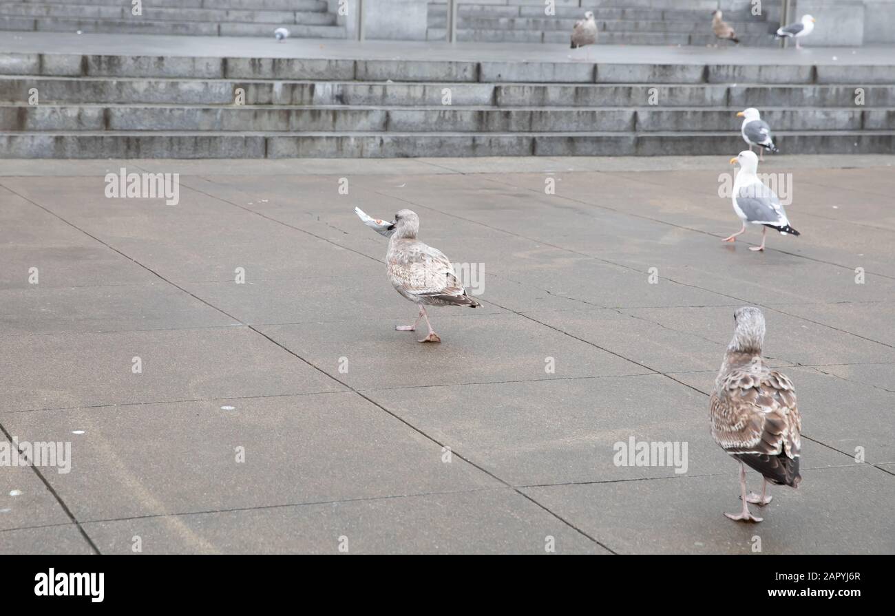 Kerb And Feet High Resolution Stock Photography and Images - Alamy