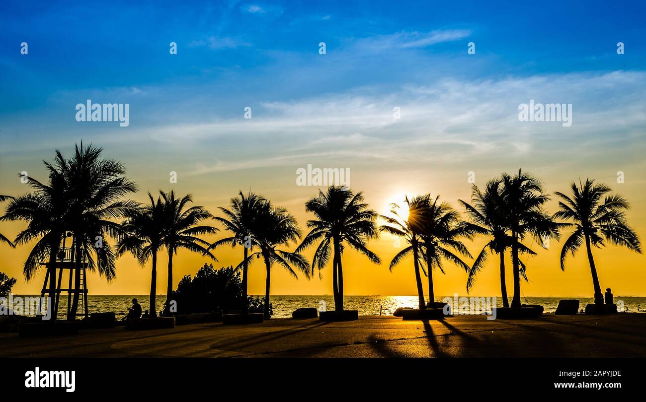 Tropical beach with coconut palm on sunset background Stock Photo - Alamy