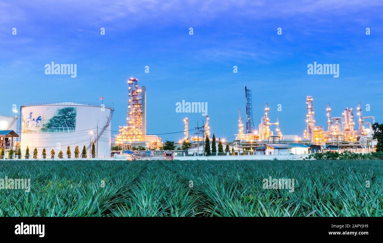 Oil refinery with Pineapple farm Stock Photo - Alamy