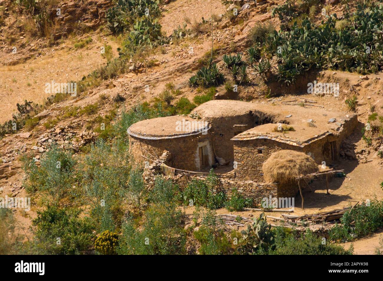 Traditional Ethiopian village Sinkata close to Debre Damos monastery ...
