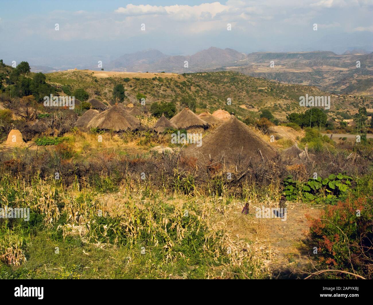 Small traditional Tigray village, Tigray Region, Ethiopia Stock Photo ...