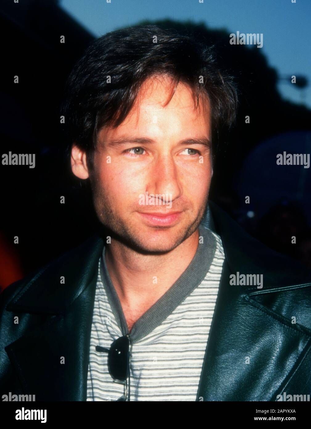 Westwood, California, USA 9th June 1995 Actor David DUchovny attends ... Westwood, California, USA 9th June 1995 Actor David DUchovny attends ...