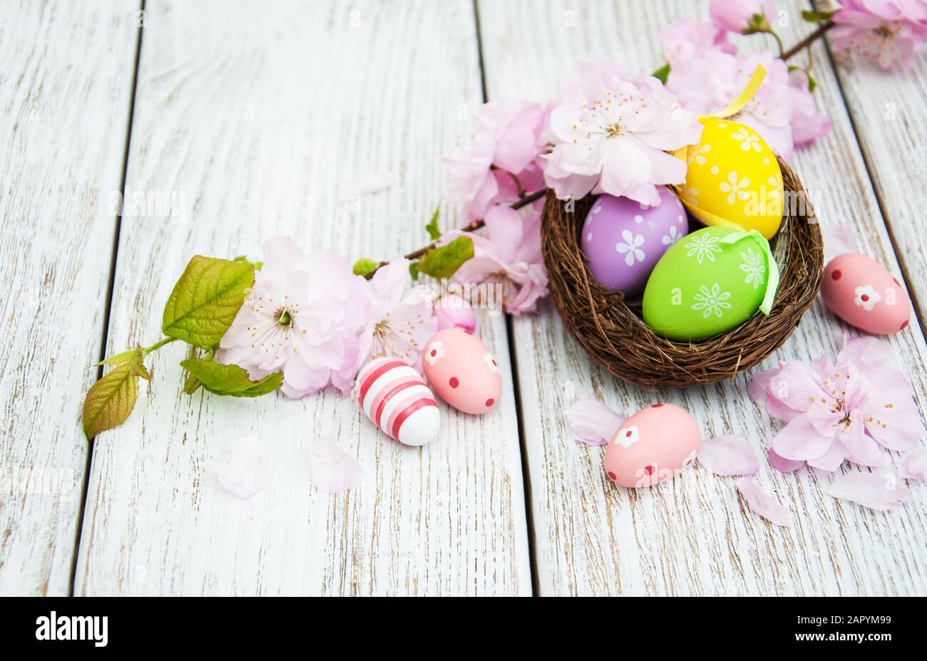 Easter eggs and sakura blossom on a old wooden background Stock Photo ...