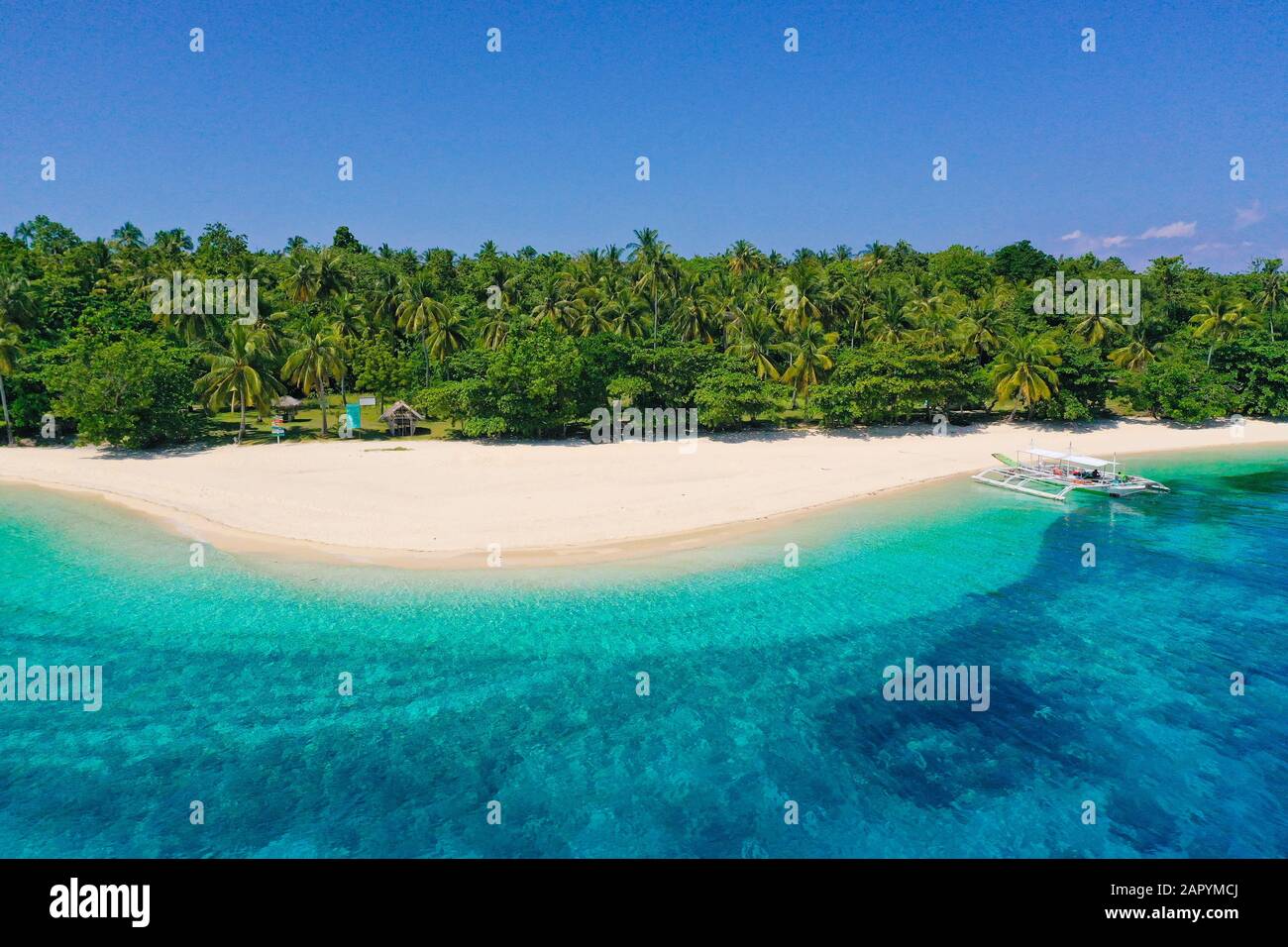 Tropical island with a white beach. Island with palm trees and white ...