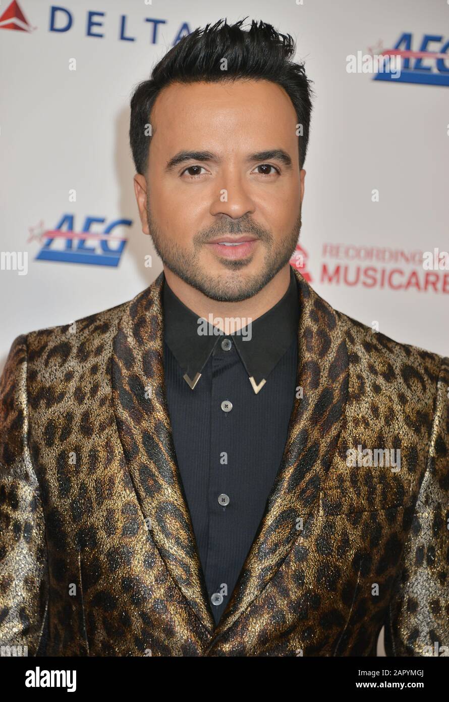Los Angeles, USA. 24th Jan, 2020. Luis Fonsi 060 attends MusiCares ...