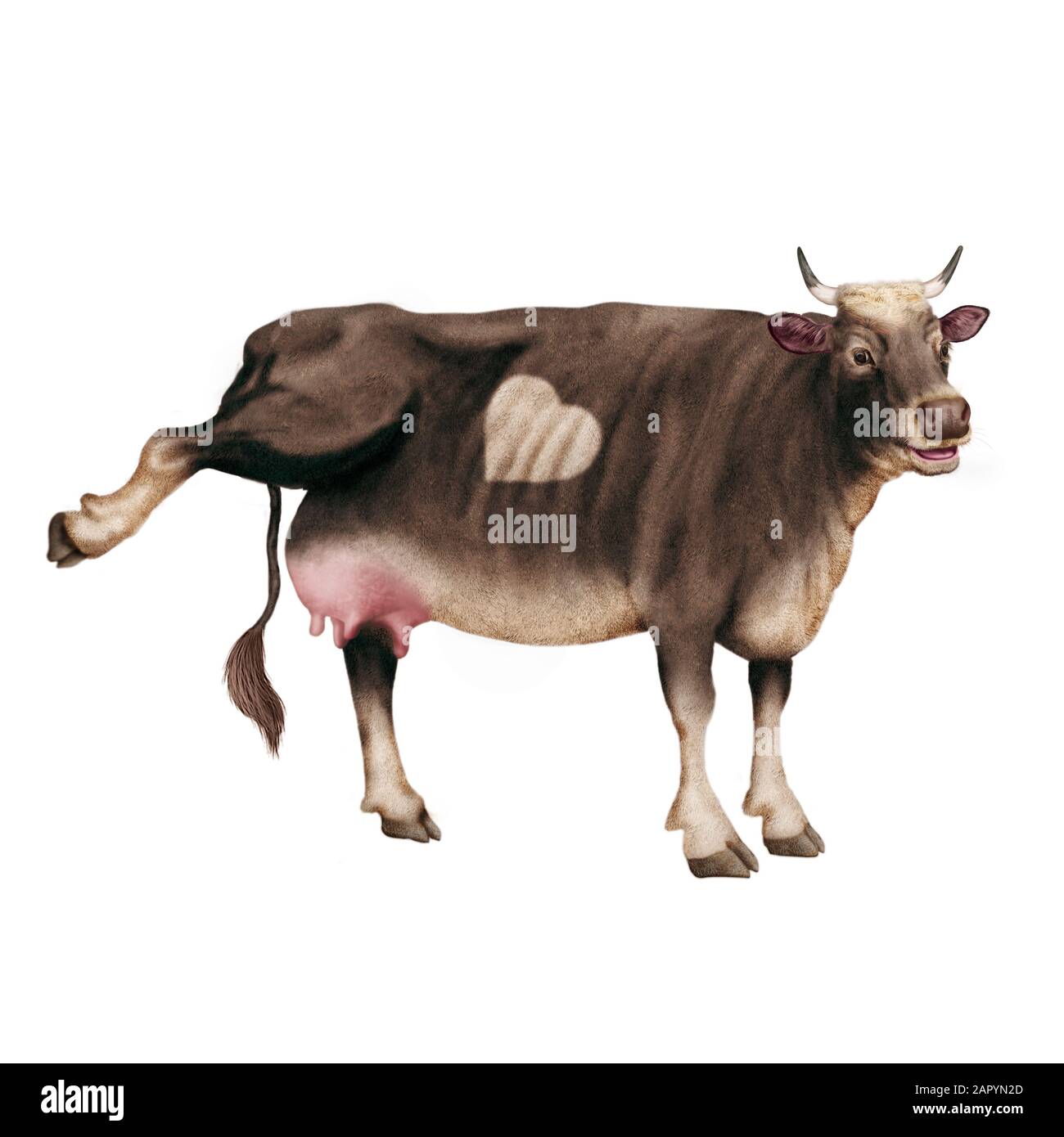 Cow illustration realistic imaginary design Stock Photo - Alamy