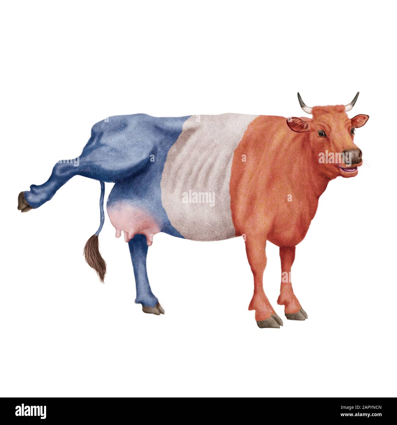Cow illustration realistic imaginary design Stock Photo - Alamy