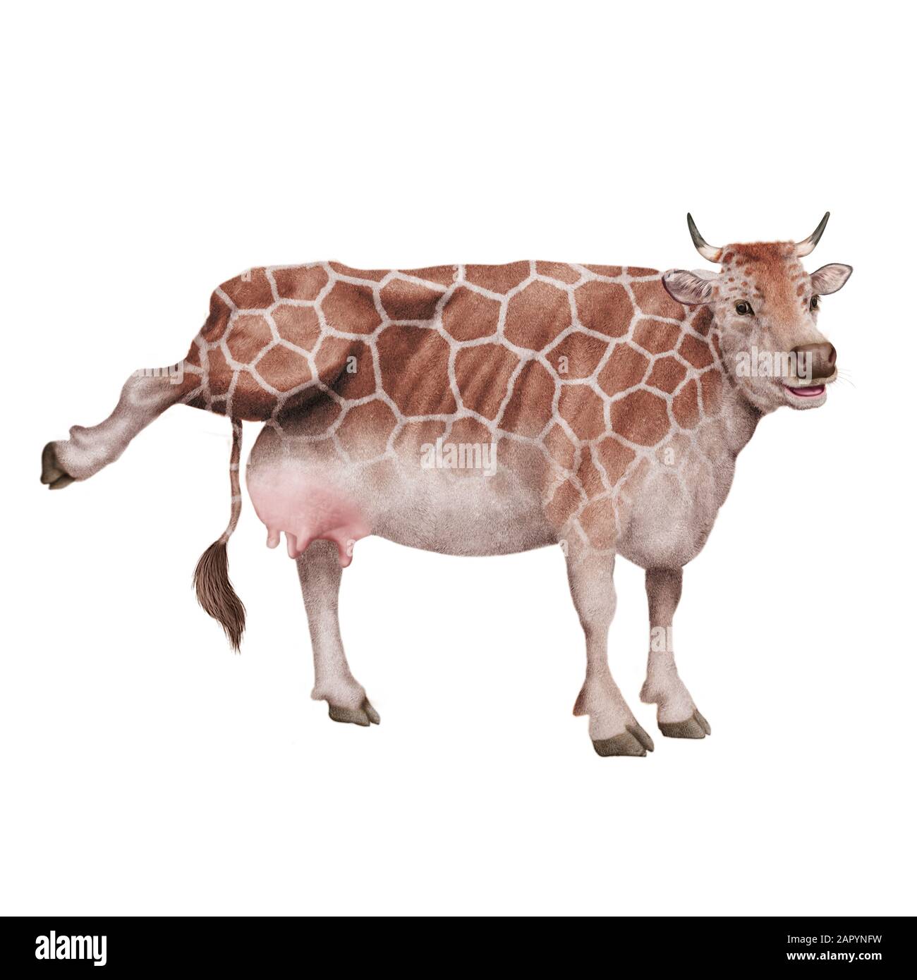 Cow illustration realistic imaginary design Stock Photo - Alamy